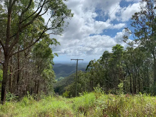 10 Best Trails and Hikes in Numinbah Valley | AllTrails