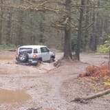 Tahuya Lookout OHV Loop , Washington - 122 Reviews, Map | AllTrails