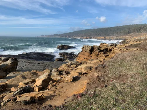 10 Best Hikes and Trails in Salt Point State Park | AllTrails