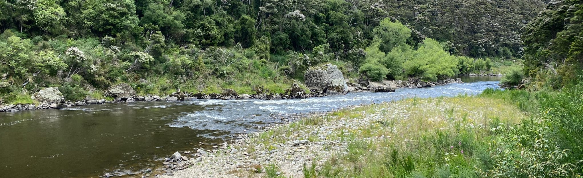 Outram Glen to Lee Stream Walk, Otago, New Zealand - 40 Reviews, Map ...