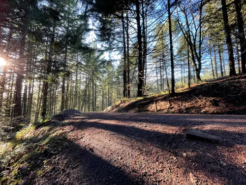 Best Trail Running Trails in Chip Ross Park and Natural Area | AllTrails