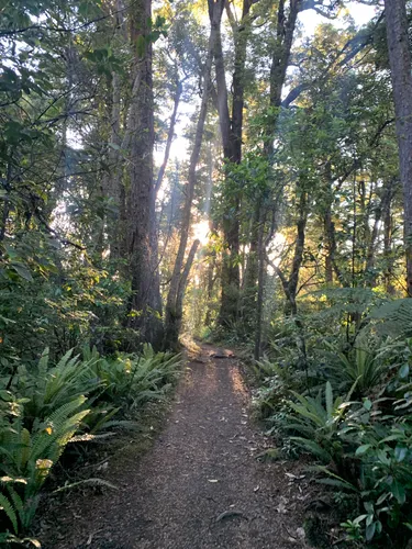 10 Best Trails and Hikes in Ohakune | AllTrails