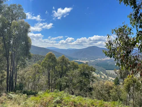 10 Best Trails and Hikes in Bright | AllTrails
