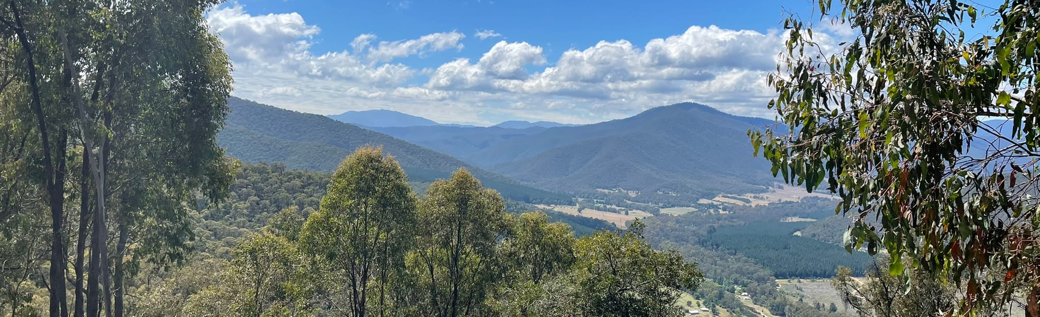 Apex Lookout Track, Victoria, Australia - 72 Reviews, Map | AllTrails