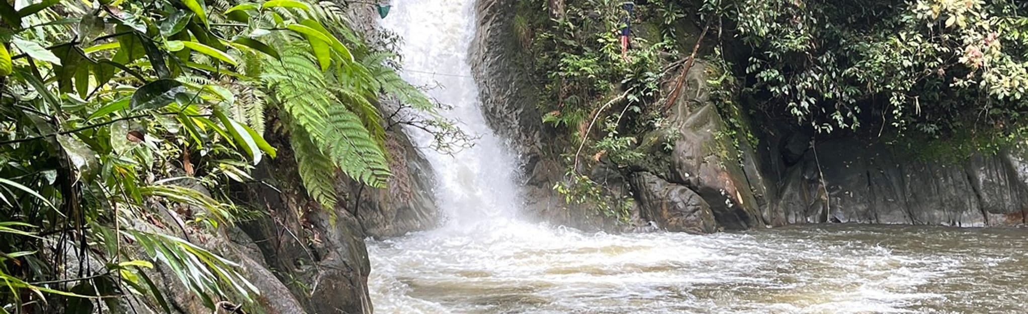 Lata Hammer Waterfalls Loop, Pahang, Malaysia - 6 Reviews, Map | AllTrails