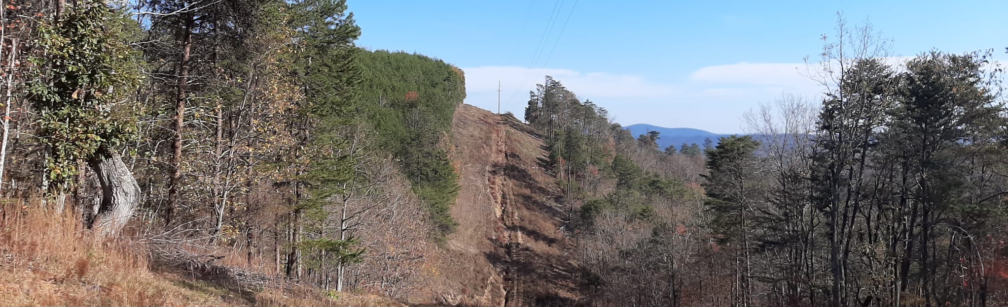Mack White Gap to Old Narrows Picnic Ground via Pinhoti Trail: 76 Fotos ...