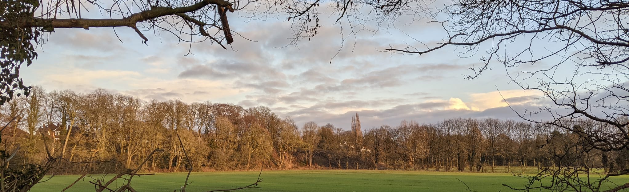 River Tees Circular | Map, Guide - County Durham, England | AllTrails