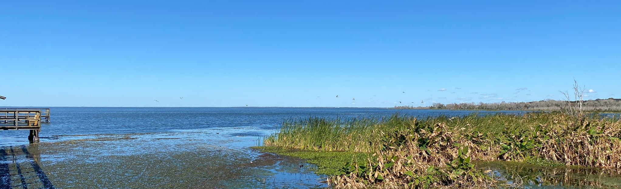 Newton Park Loop, Florida - 32 Reviews, Map | AllTrails