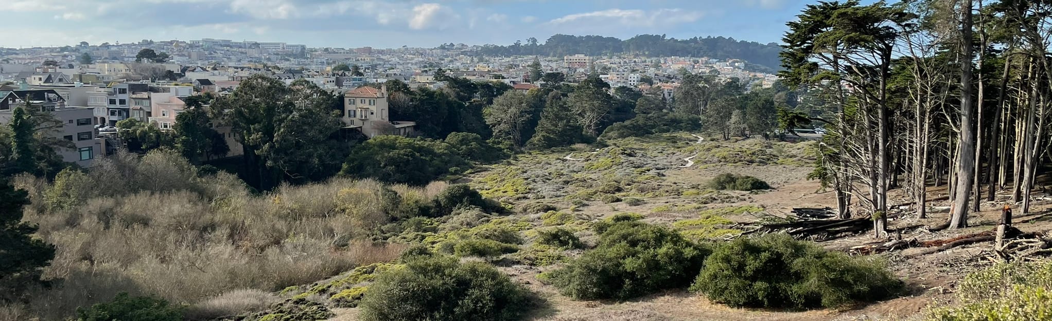 Lobos Creek Valley Path, California - 108 Reviews, Map | AllTrails