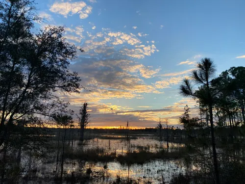 Best Hikes and Trails in Jay B. Starkey Wilderness Park | AllTrails