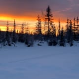 Goldstream Winter Trail, Alaska - 48 Reviews, Map | AllTrails