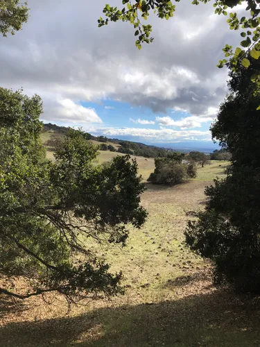 10 Best Trails and Hikes in Gilroy | AllTrails