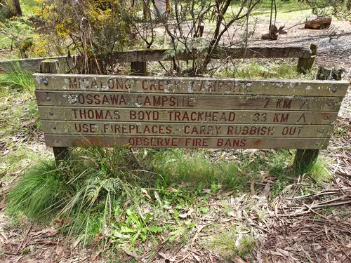 Best Hikes and Trails in Bondo State Forest | AllTrails