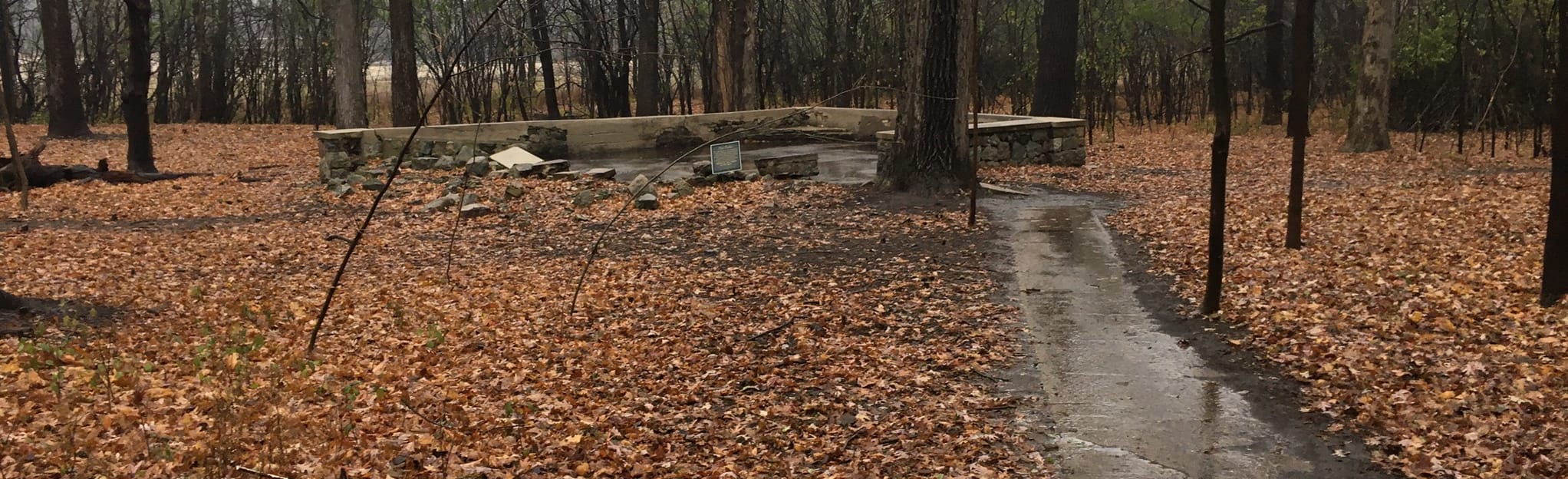 County Grounds Park Loop: 254 Reviews, Map - Wisconsin | AllTrails