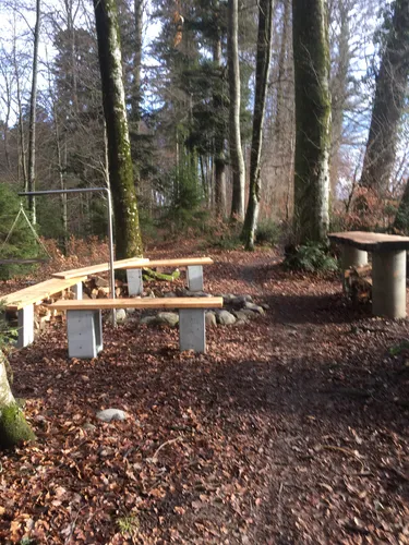 2023 Best Forest Trails in Unterkulm | AllTrails