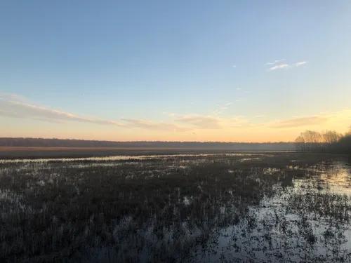 Best Hikes and Trails in Bayou Cocodrie National Wildlife Refuge ...