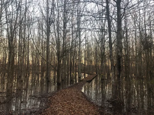 Best Hikes and Trails in Bayou Cocodrie National Wildlife Refuge ...