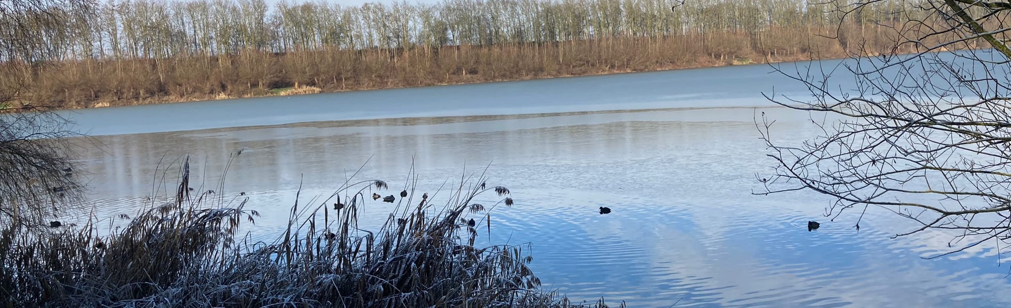 Pocking - Pockinger Baggersee Runde, Bavaria, Germany - Map, Guide ...