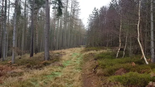 Best Walking Trails in Corbridge | AllTrails