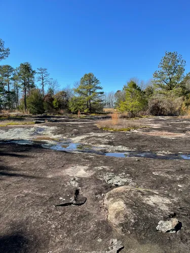 Best Hikes and Trails in Covington | AllTrails Best Hikes and Trails in Covington | AllTrails