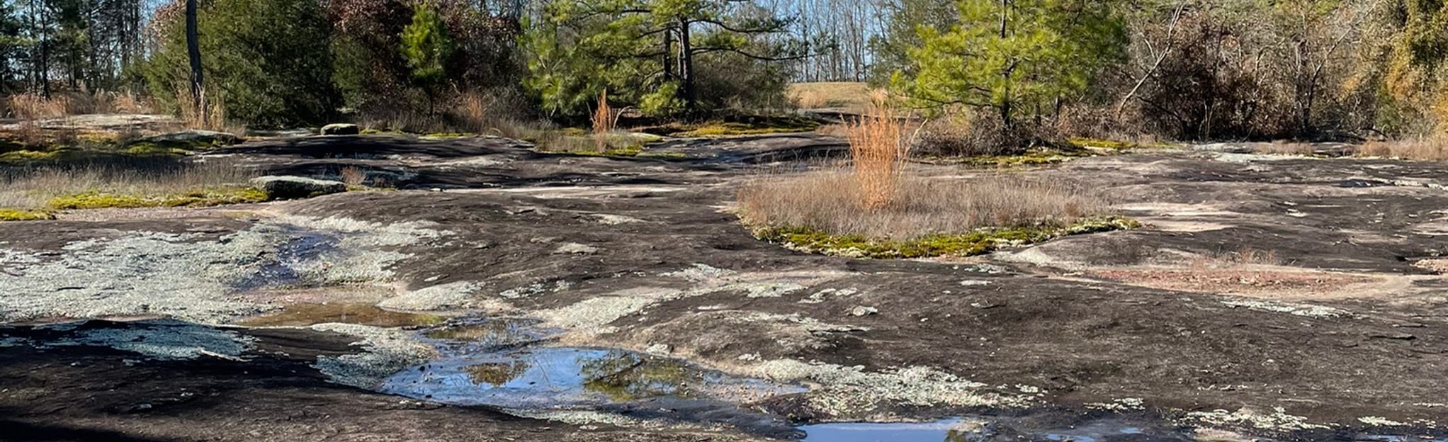 Lake Varner Loop, Georgia - 34 Reviews, Map | AllTrails