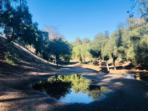 10 Best Trails and Hikes in Camarillo | AllTrails