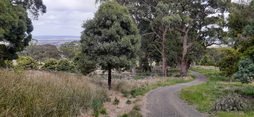 Best 10 Hikes and Trails in Creswick State Forest | AllTrails