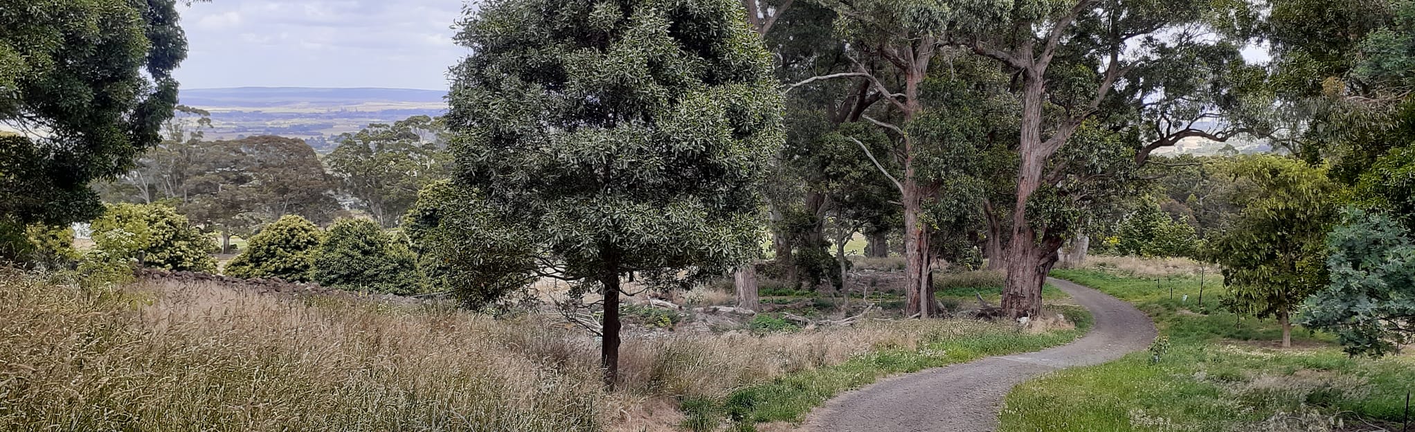 Eureka Track Walk, Victoria, Australia - 2 Reviews, Map | AllTrails