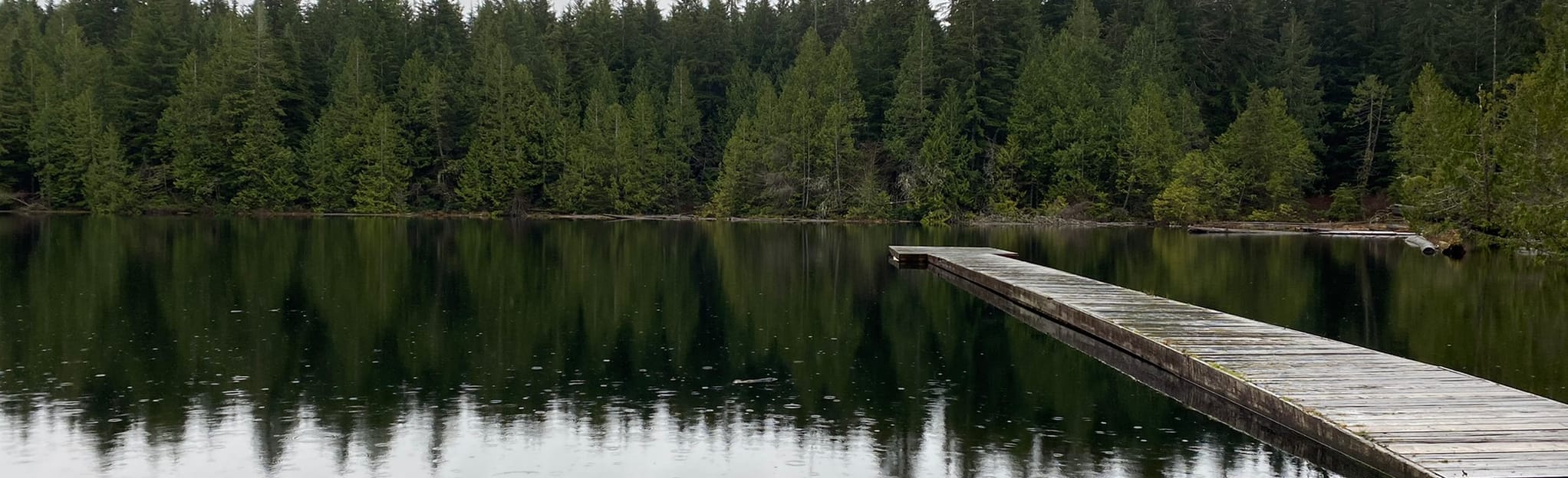 AllTrails | Lizard Lake Recreation Site: 18 Reviews, Map - British ...