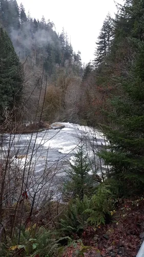 Best Hikes and Trails in Lane County Park | AllTrails