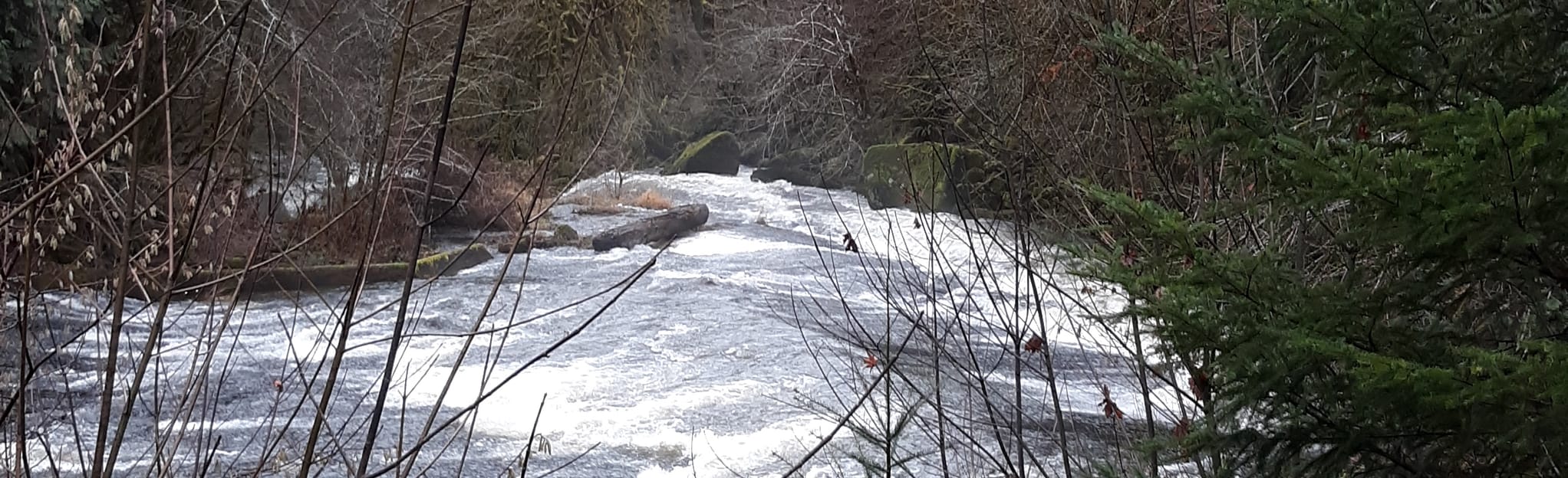 Lake Creek Fish Ladder: 12 Reviews, Map - Oregon | AllTrails