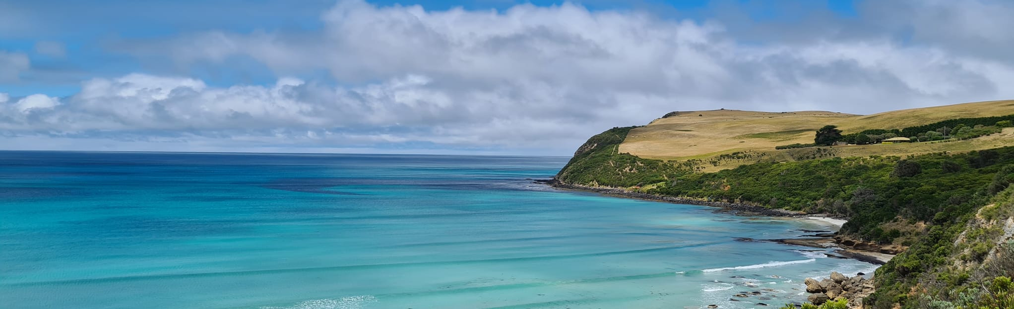 Cape Bridgewater Seal Colony Walk, Victoria, Australia - 75 Reviews ...