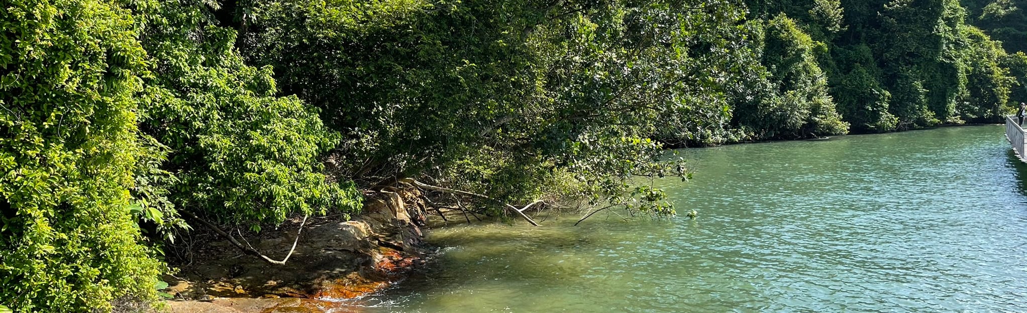 Chek Jawa Wetlands via Jalan Durian, Central, Singapore - 76 Reviews ...