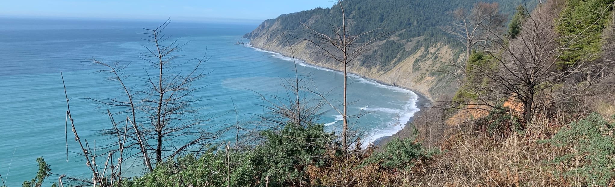 Peter Douglas Coastal Trail, California - 38 Reviews, Map | AllTrails