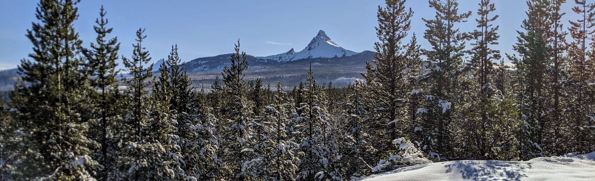 Ray Benson Outer Loop: 86 foto - Oregon | AllTrails