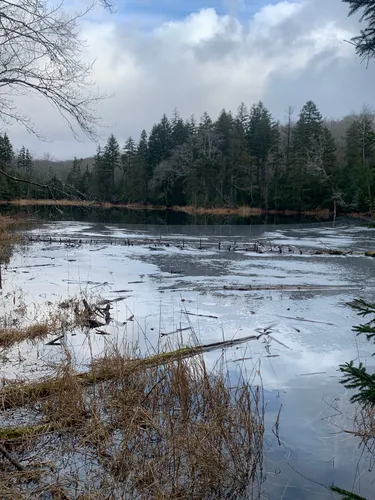 Best Hikes and Trails in Gully Lake Wilderness Area | AllTrails