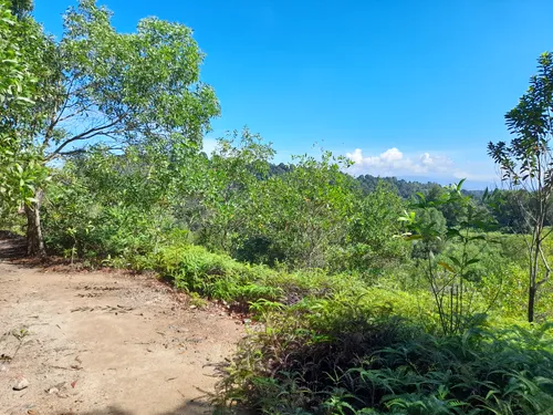 Best Camping Trails in Shah Alam | AllTrails