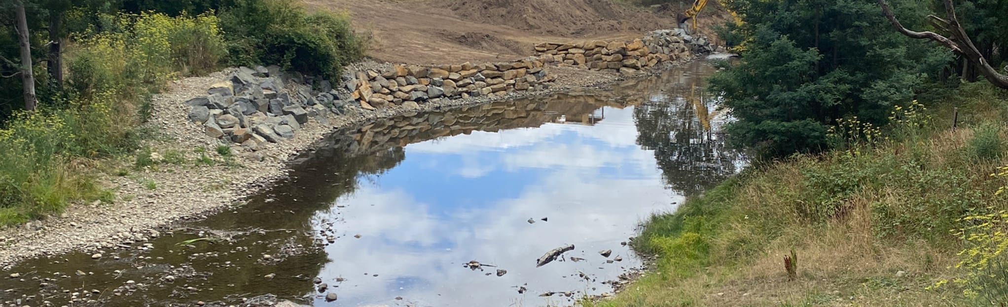 Ranelagh River Cycle Loop, 15 Fotos - Tasmania, Australia | AllTrails