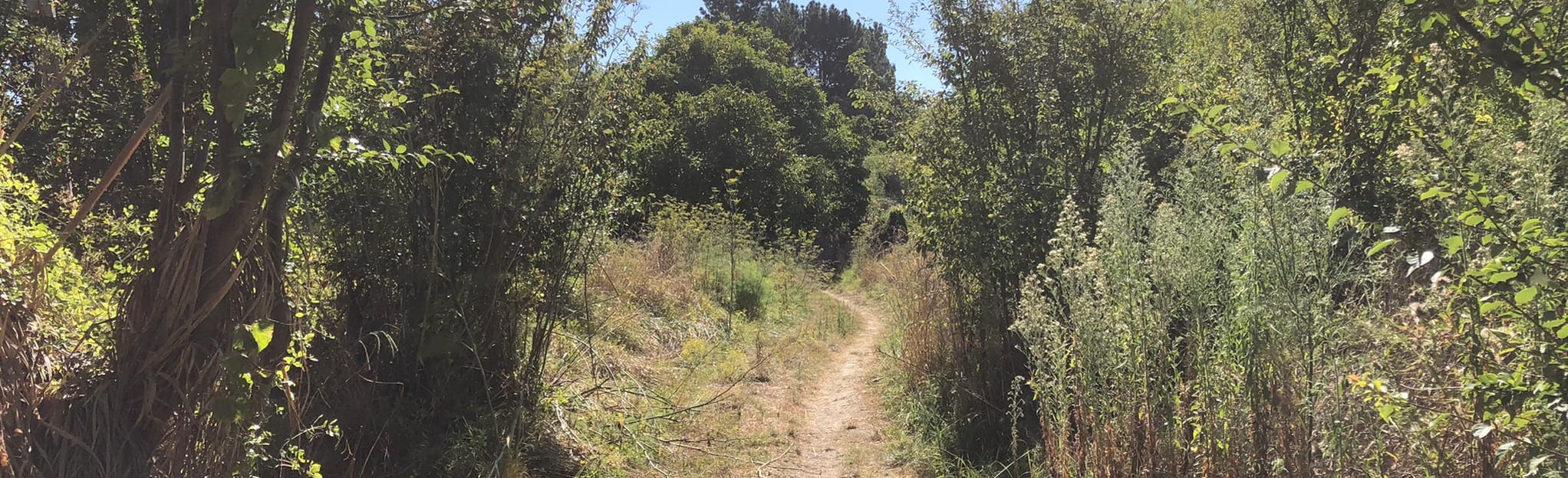 Eskdale Holiday Park to Eskdale Park: 0 Reviews, Map - Hawke's Bay, New ...