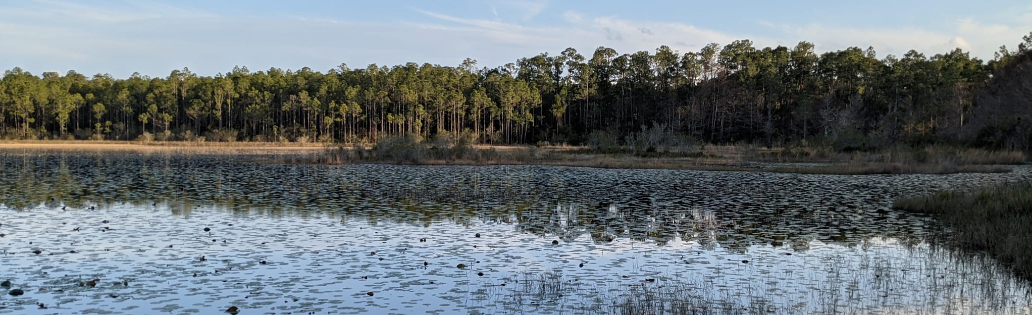 Split Oak Forest Green Trail, Florida - 479 Reviews, Map | AllTrails