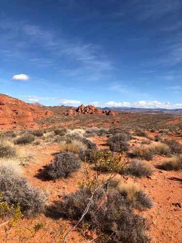 10 Best Hikes and Trails in Red Cliffs National Conservation Area ...