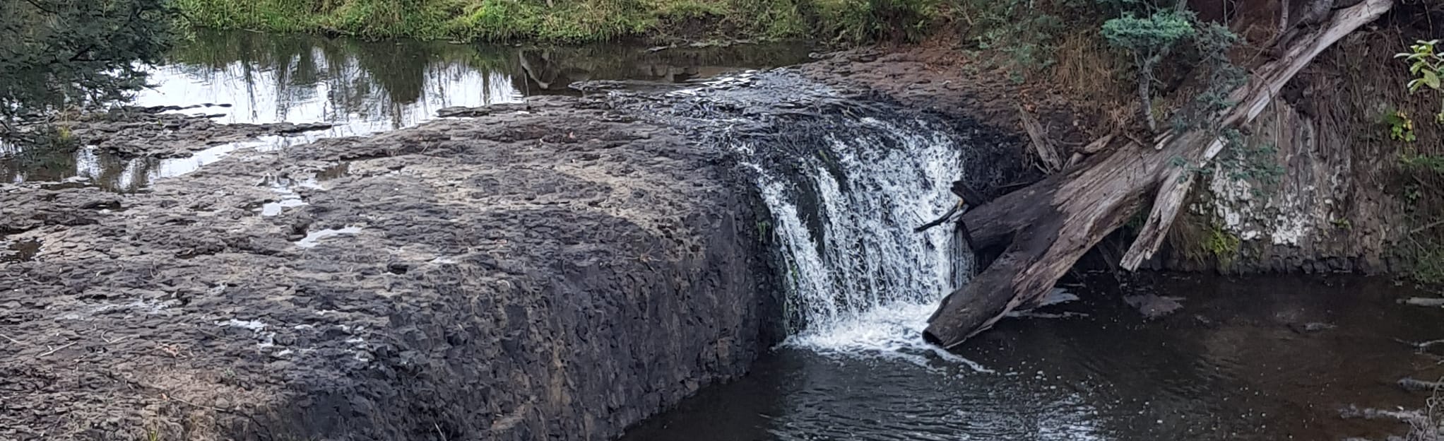 Guide Falls Walk - Tasmania, Australia | AllTrails