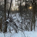 Bruce Pit Dog Park, Ontario, Canada - 320 Reviews, Map | AllTrails