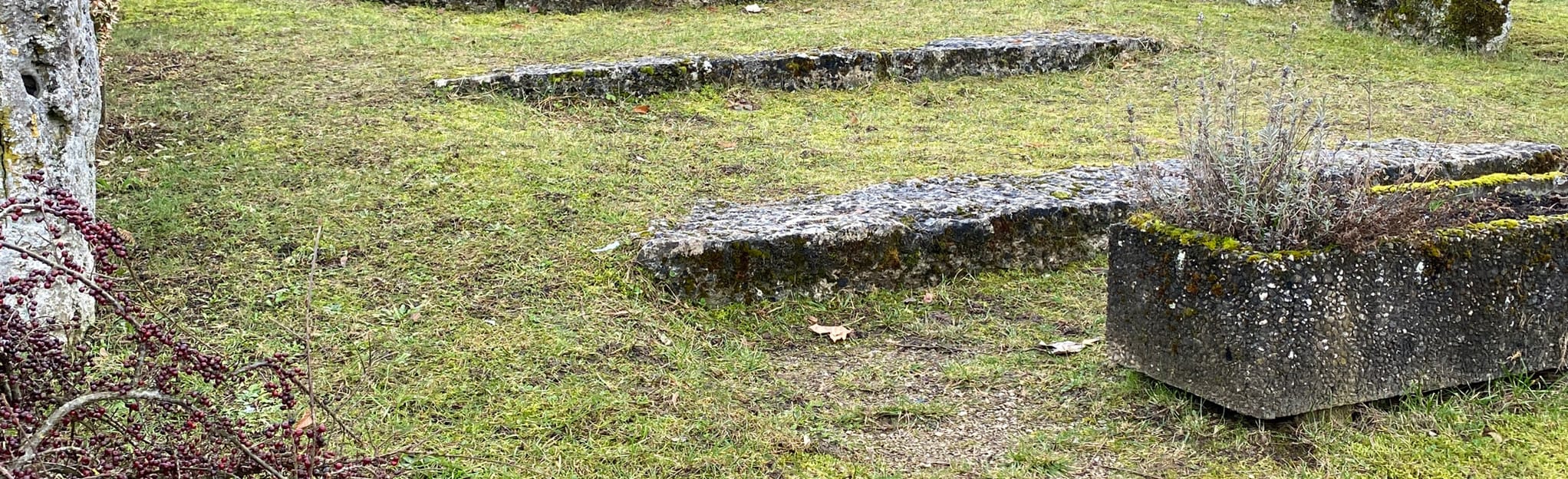 Runde in Solnhofen | Map, Guide - Bayern, Germany | AllTrails