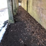 Fort Howard Park Trail, Maryland - 216 Reviews, Map | AllTrails