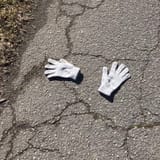 Fort Howard Park Trail, Maryland - 216 Reviews, Map | AllTrails