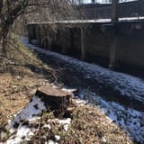 Fort Howard Park Trail, Maryland - 216 Reviews, Map | AllTrails