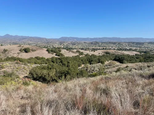 Best Hikes and Trails in Thomas F Riley Wilderness Park | AllTrails