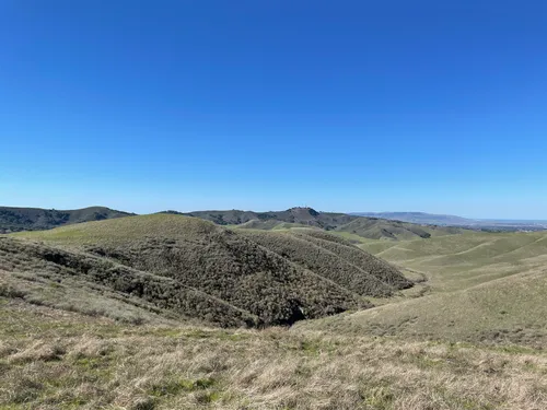 Best Hikes and Trails in Los Flores Ranch Park | AllTrails