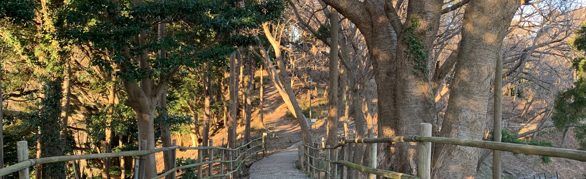 Higashi-Zushi Station - Mount Nyuto - Taura Ume no Sato, Kanagawa ...